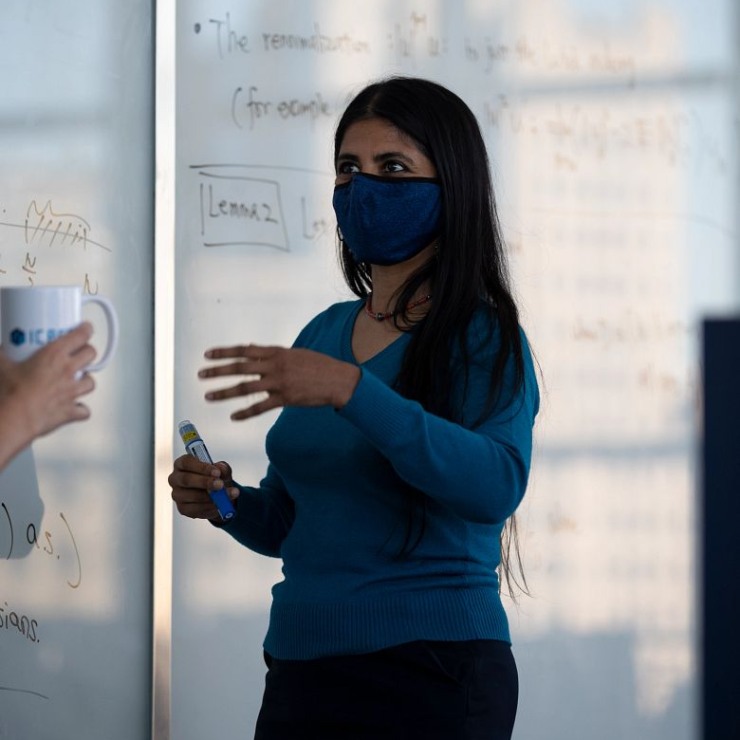 ramanan mathematician