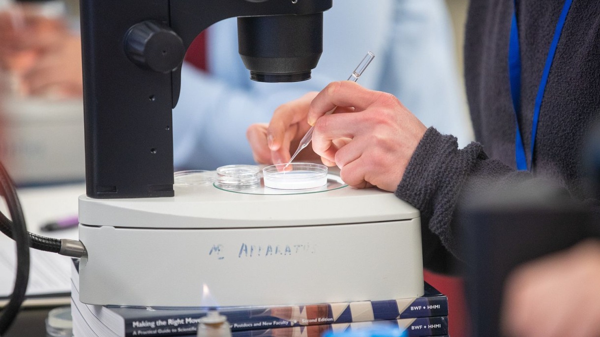Faculty at Brown earn prestigious awards, distinctions | Brown University