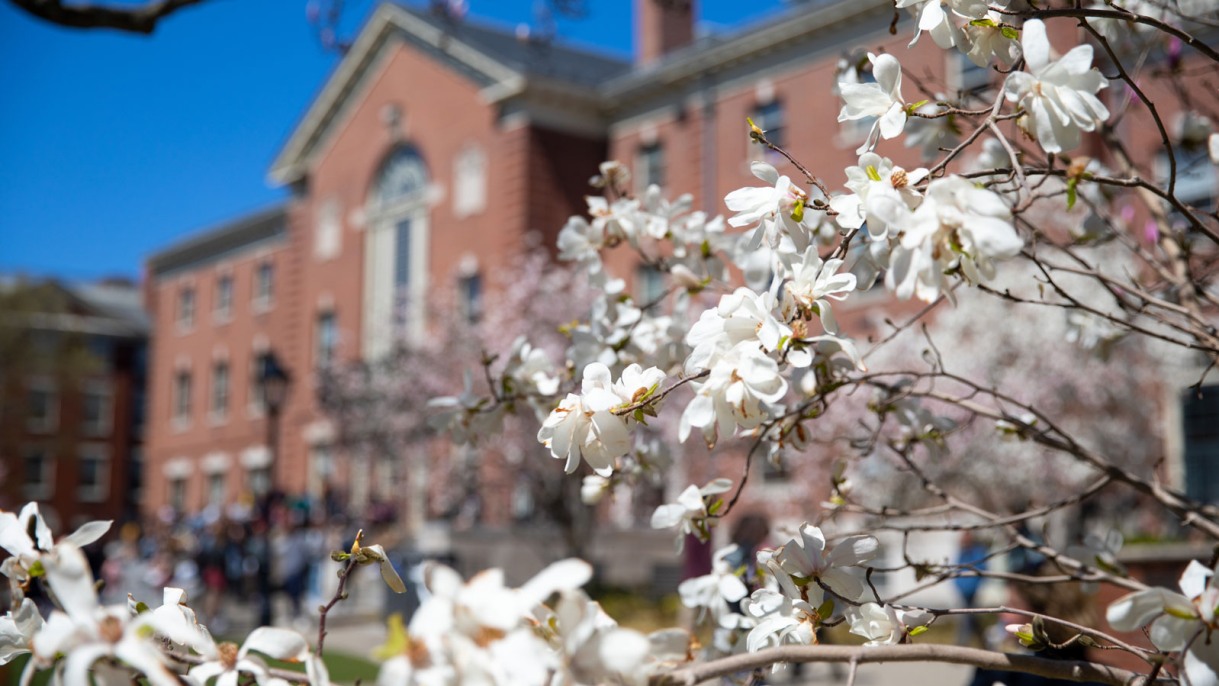 Brown Corporation elects two new fellows, eight trustees | Brown University