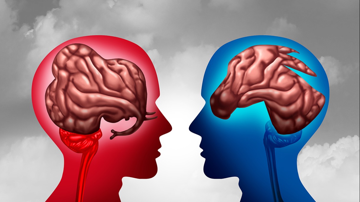 Study offers neurological explanation for how brains bias partisans ...