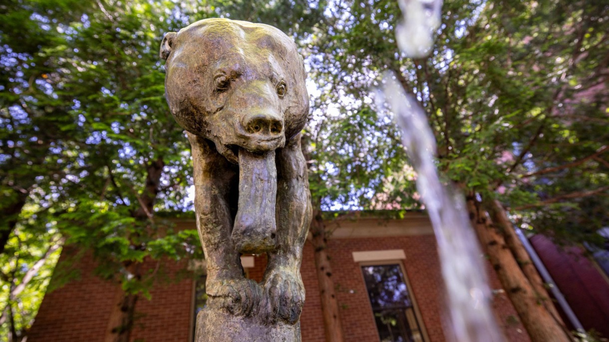 Photos: The legacy of Brown’s mascot lives on in campus bear statues ...