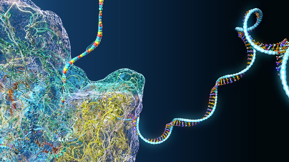 Changing the future of medicine: How Brown is becoming a global hub for ...