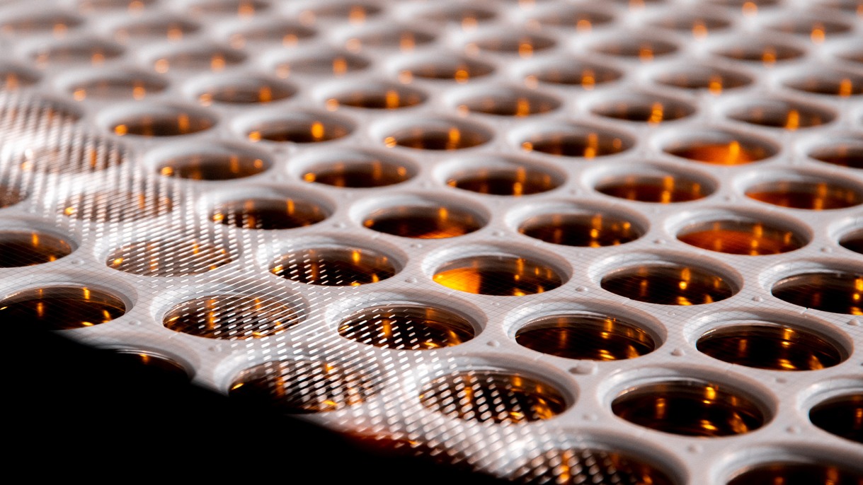 LUX-ZEPLIN Experiment Yields New Dark Matter Insights | Mirage News