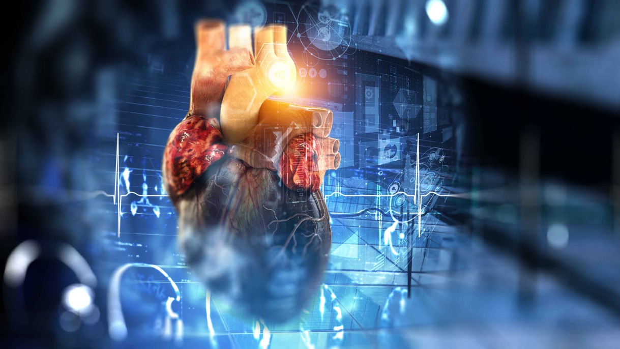 Breakthrough in Heart Mechanisms May Lead to New Cures | Mirage News