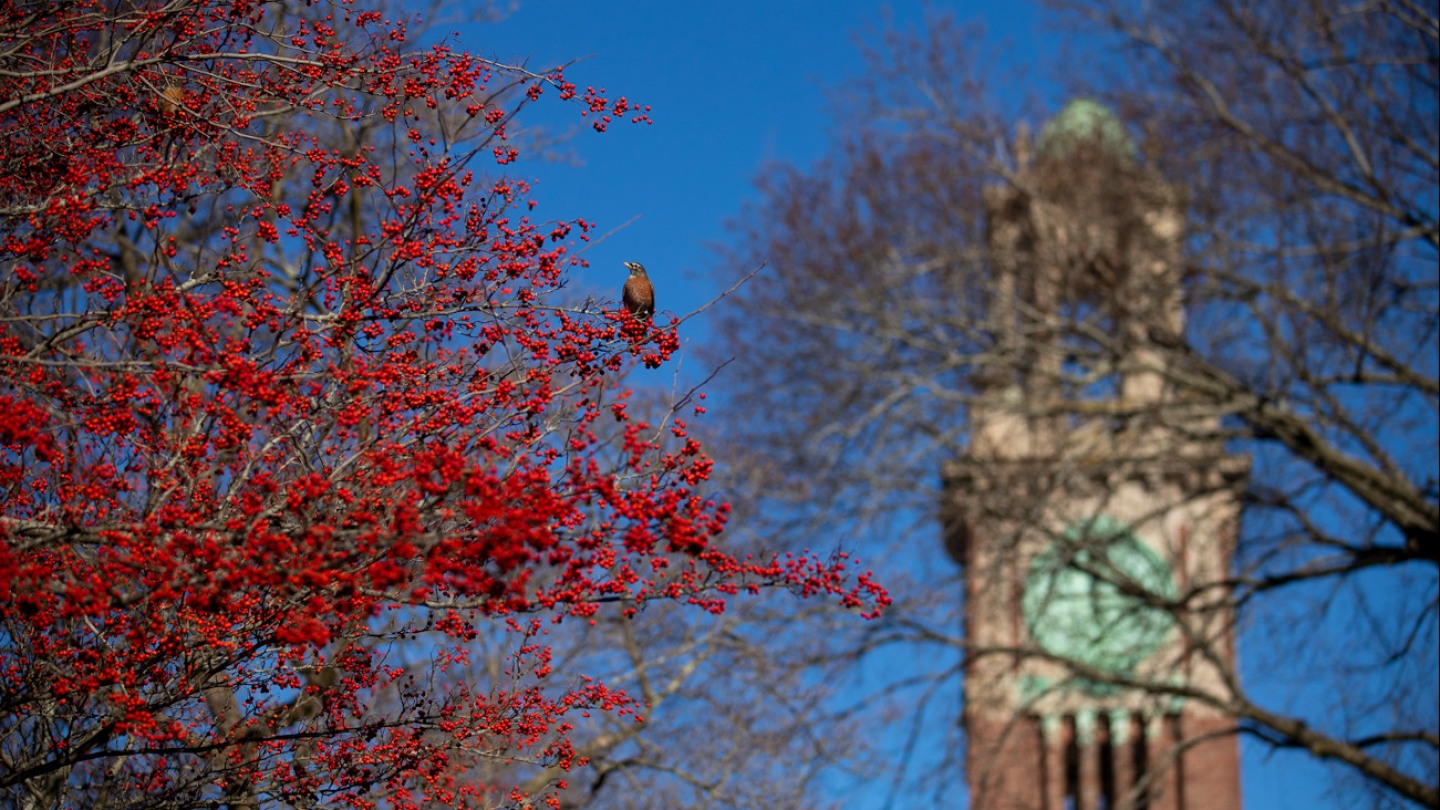 Receipt of advisory committee report moves student divestment proposal ...