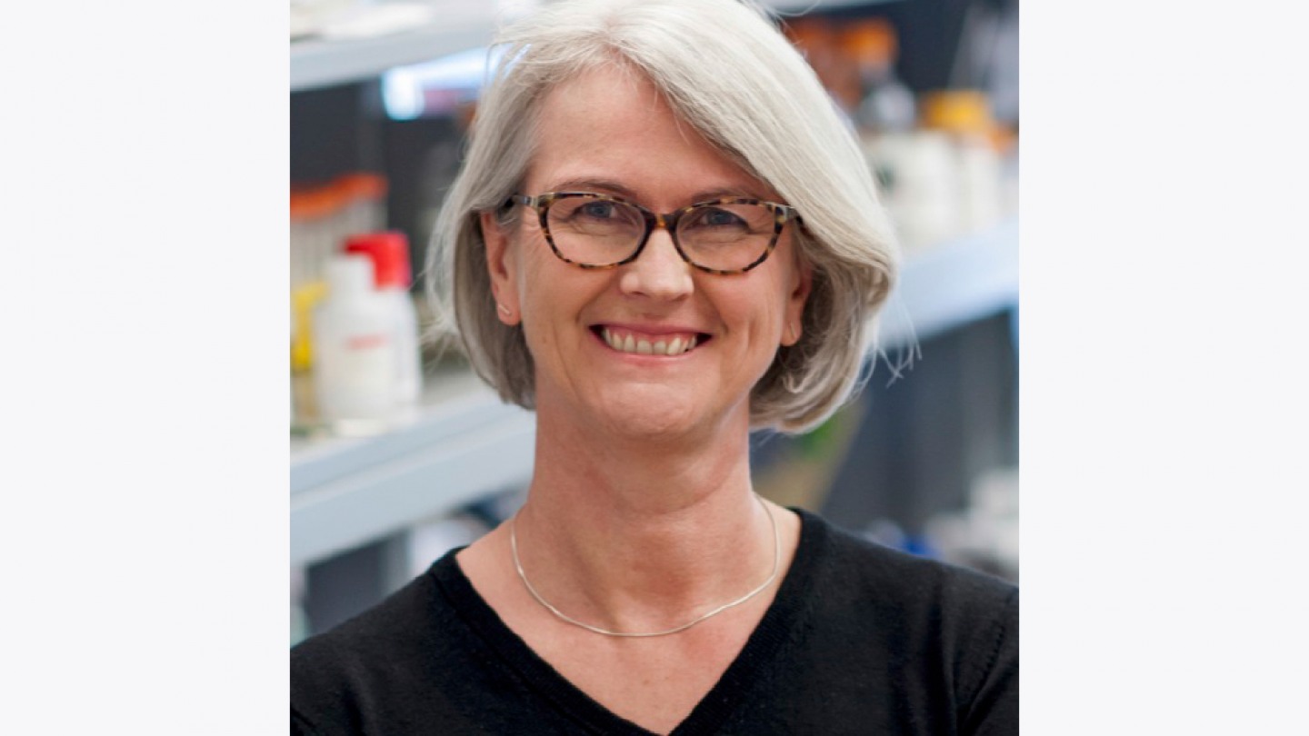 Lipscombe elected president of Society for Neuroscience | Brown University