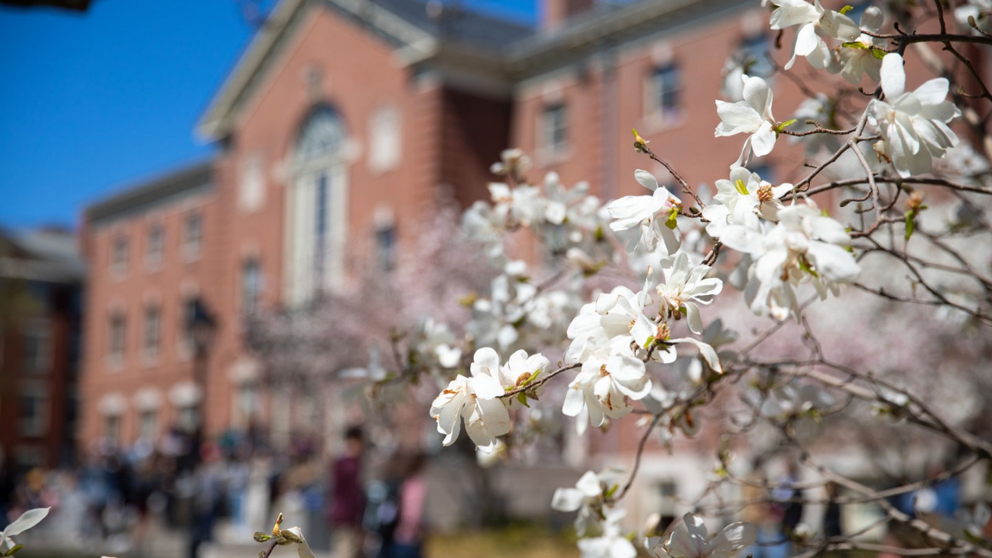 Brown University Campus Fall