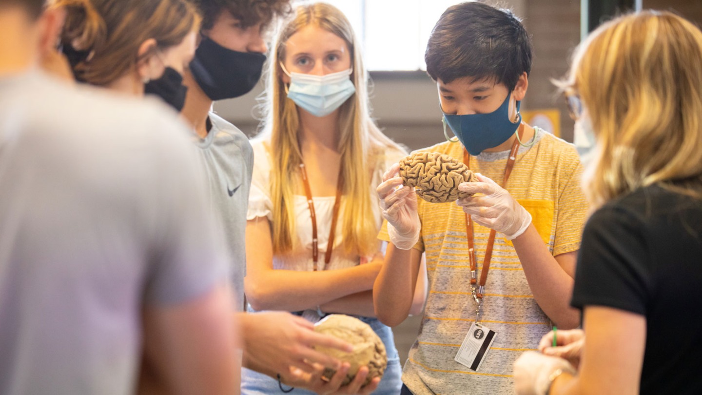 Brown celebrates 40 years of Pre-College programs for high schoolers ...