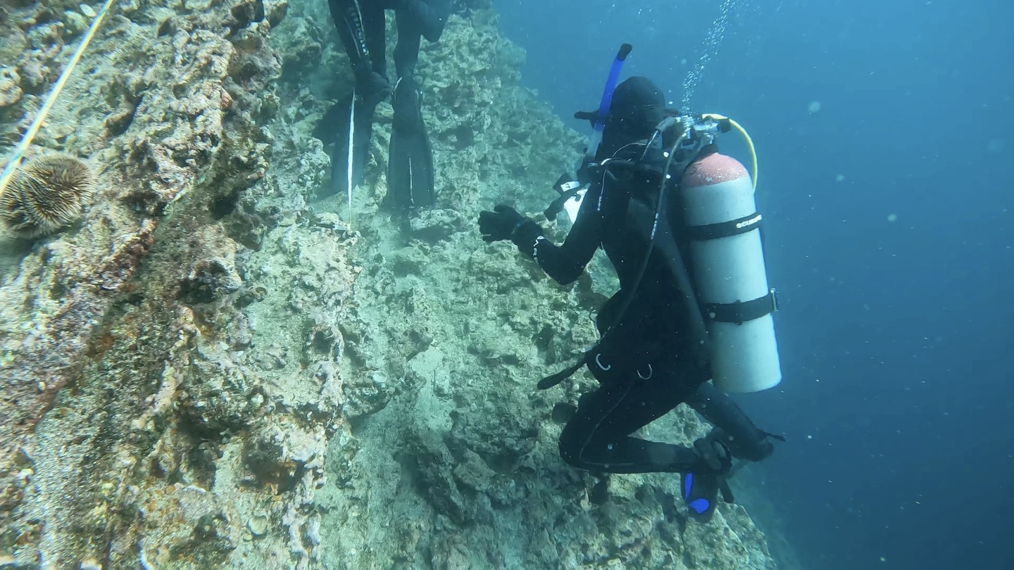 Rebecca Ward-Diorio: Diving deep into research in the Galápagos | Brown ...