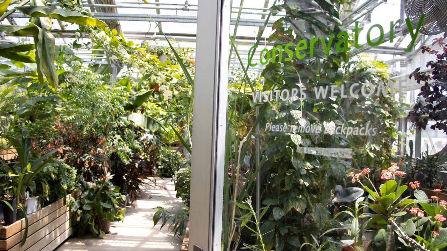 Photos: A tropical oasis, hidden atop College Hill | Brown University