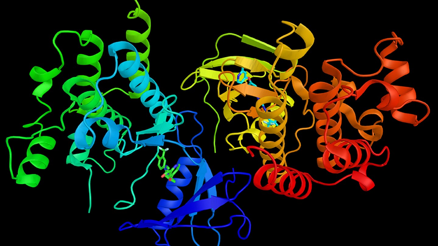 New technique for predicting protein dynamics may prove big ...