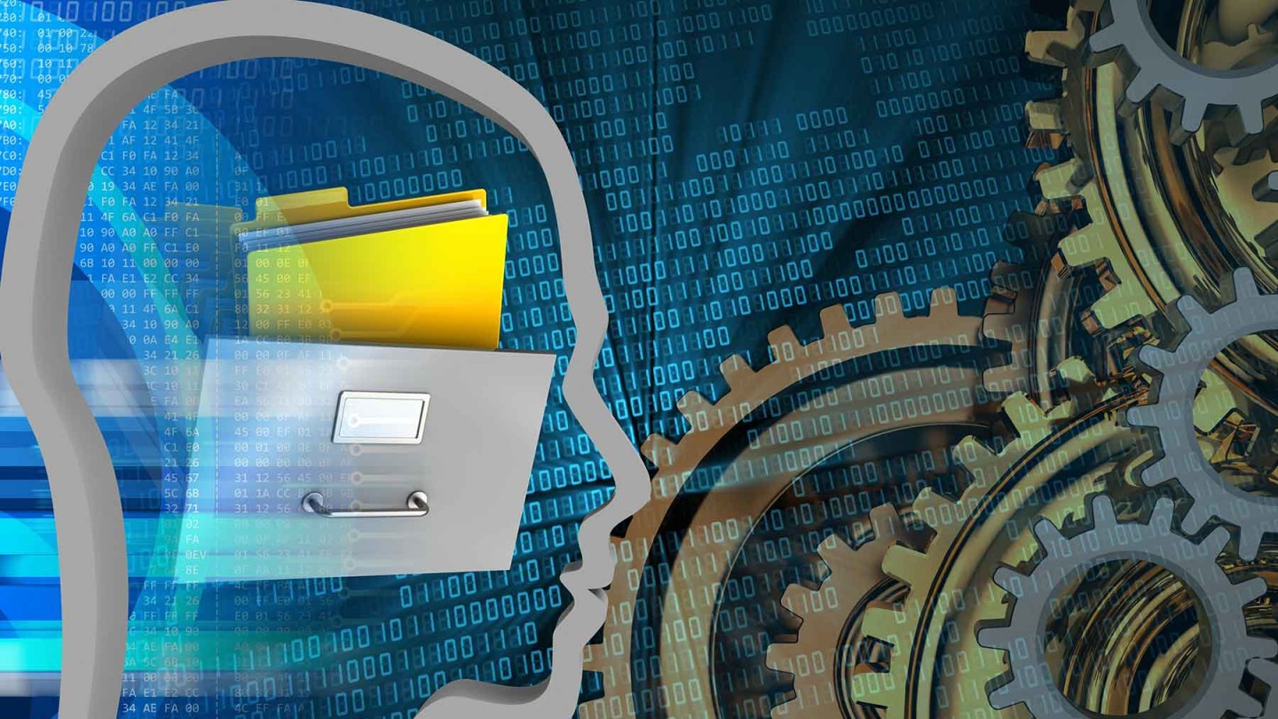 Brown University researchers show how humans learn to optimize working ...