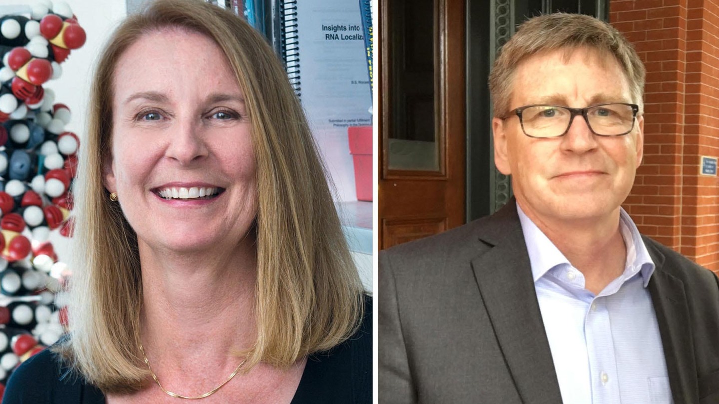 Two Brown professors elected AAAS fellows | Brown University