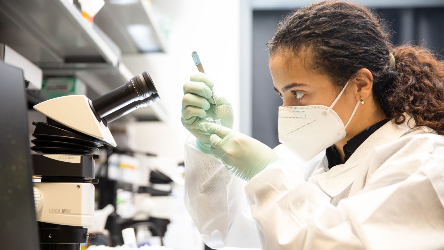 Research Builds Our Future | Brown University