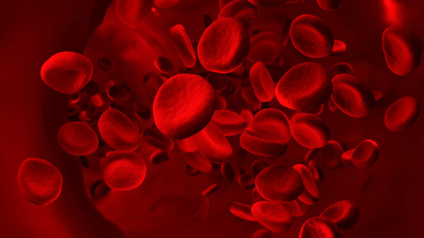 Even a few mutated cells can significantly impact how blood cancers ...