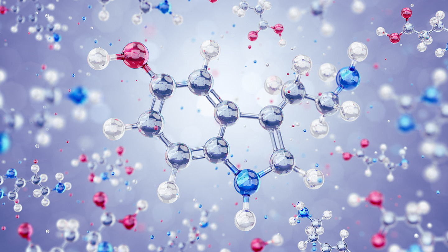 Serotonin reduces ‘belief stickiness,’ which could explain how it works ...