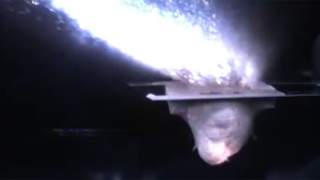 Projectile cannon experiments show how asteroids can deliver water ...