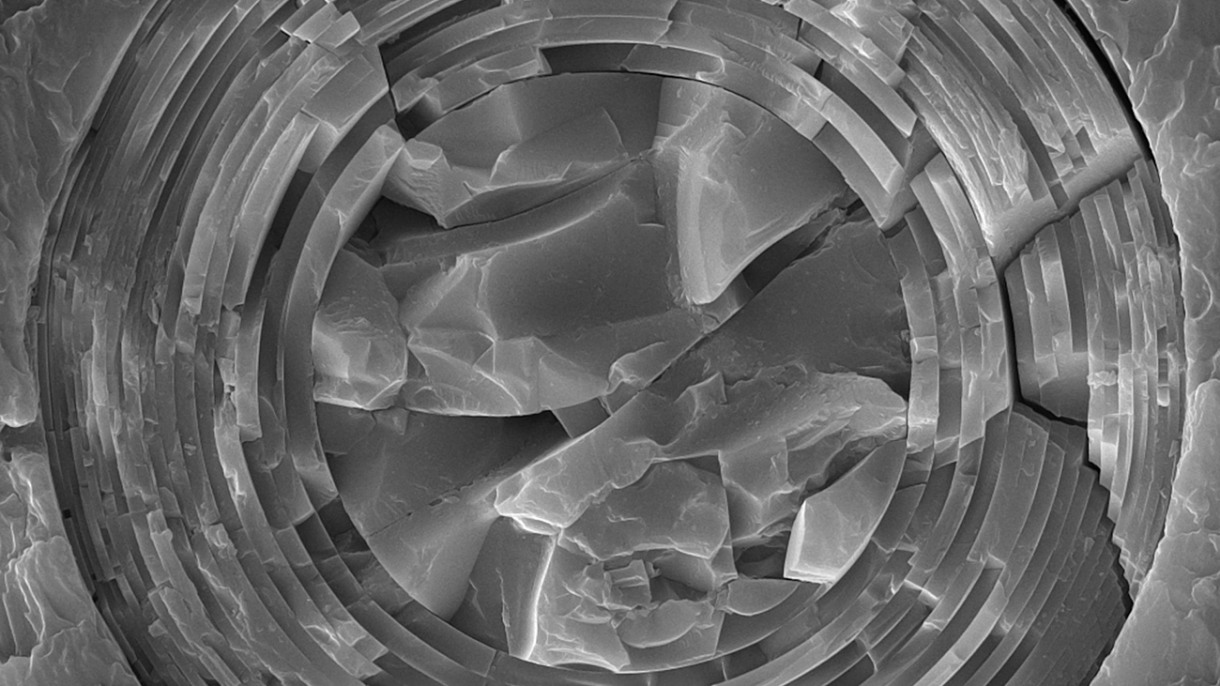 Not all of nature’s layered structures are tough as animal shells and ...