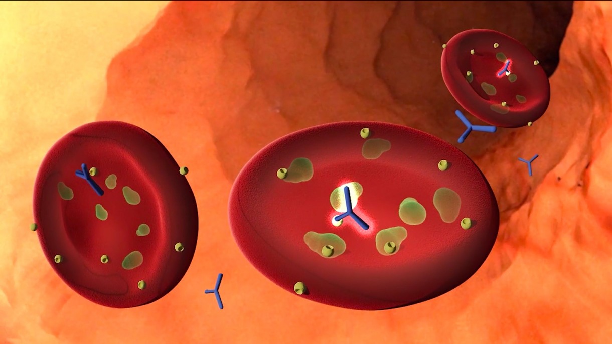 Research reveals new target that could be a foundation for malaria ...