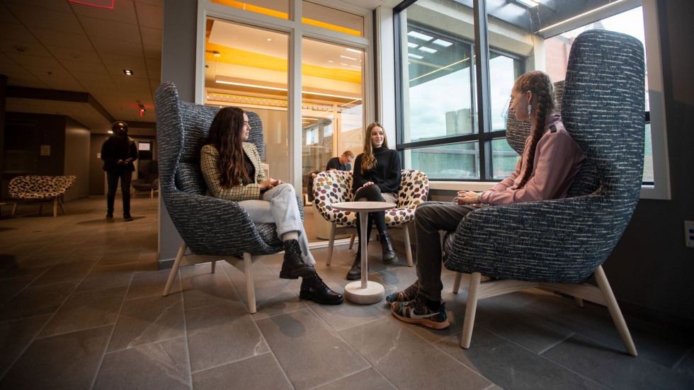 Reimagined Sharpe and Peter Green houses, newly connected, open their ...