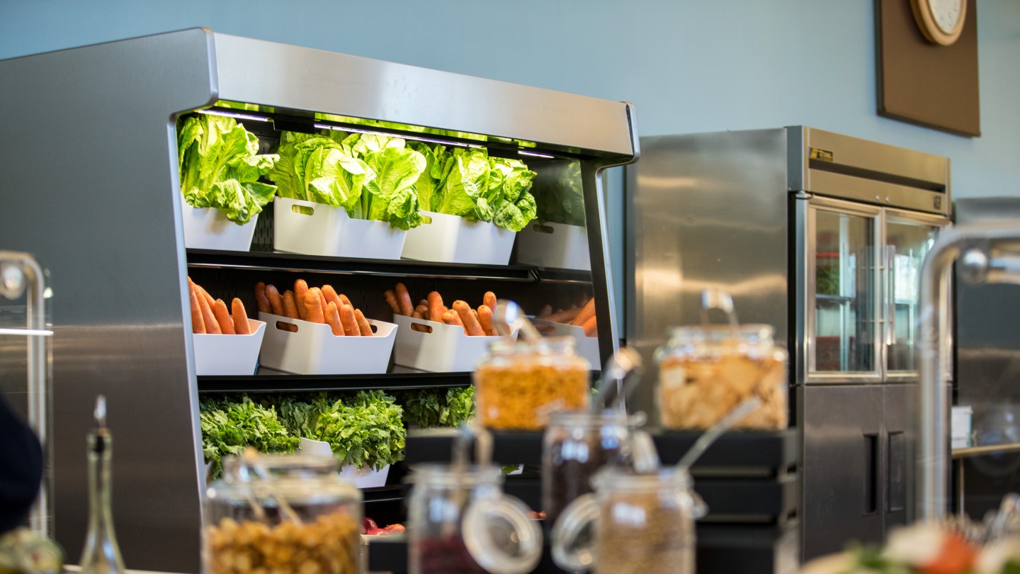 Brown to implement new measures to strengthen food security | Brown ... Brown to implement new measures to strengthen food security | Brown ...
