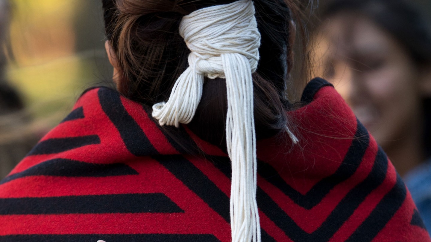 At Brown, evolution and expansion for Native American and indigenous ...