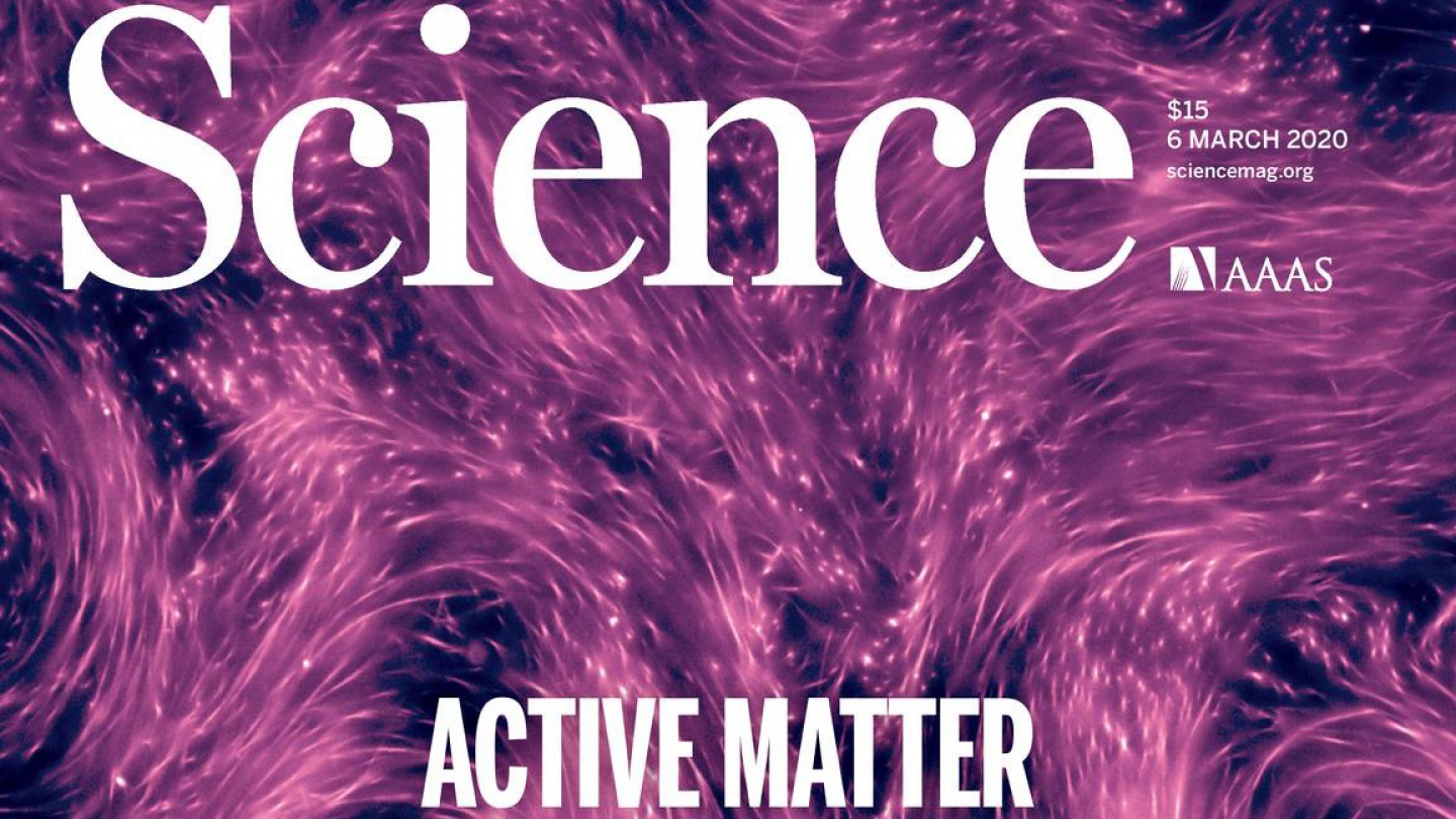 Research on Science cover reveals collective dynamics of active matter ...